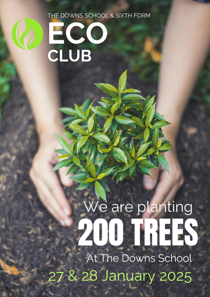 200 Trees to be planted in the grounds, January 2025 - News ...